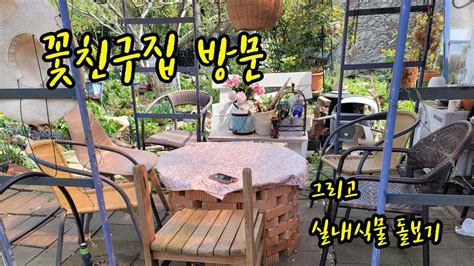 꽃친구집 방문 겹잎파첸스 아디안텀 관리 Youtube