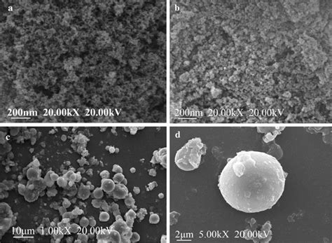 Sem Images Showing The Micromorphologies Of A Unmodified Sio2