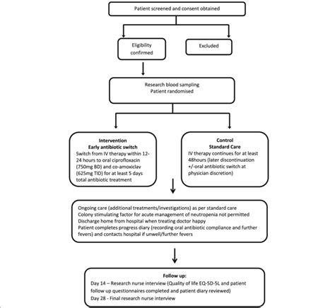 Study Schematic Diagram Download Scientific Diagram Study Schematic Diagram Download Scientific Diagram