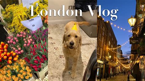 🇬🇧70점 받고 기뻐하는 교환학생의 골드스미스 학교생활 브이로그 진짜 런던 베이글집 꽃시장 구경 영국 대학교 세미나 수업 멋드러진 주택에서 홈파티 Youtube