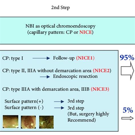 Three Step Strategy Of Narrow Band Imaging Nbi Adapted From Iwatate