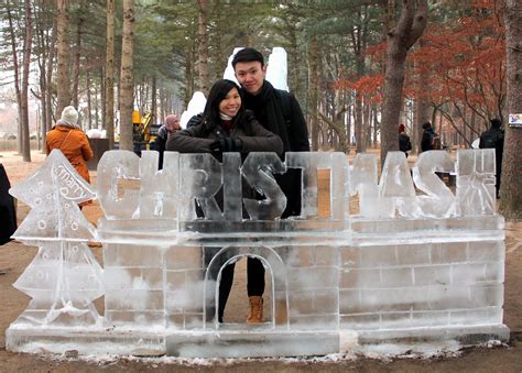 Half Day Trip To Koreas Spectacular Nami Island Alexis Jetsets
