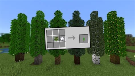 More Tree Addon In Minecraft PE Bedrock YouTube