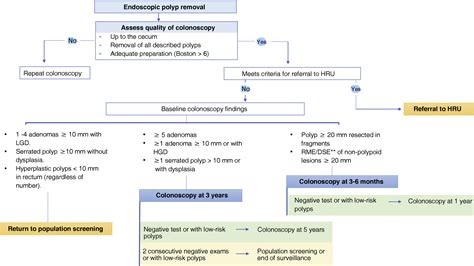 Surveillance Recommendations After Endoscopic Resection Of Colorectal Polyps Medicina Clínica
