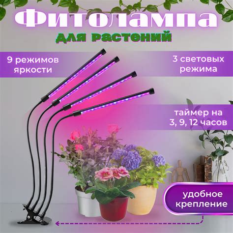 Фитолампа для растений и рассады Фитосветильник полного спектра на прищепке 4 лампы купить с