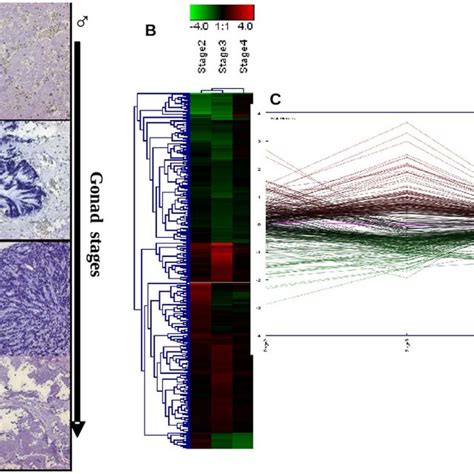 The Heat Map A Pearson Correlation Complete Linkage Algorithm And Download Scientific