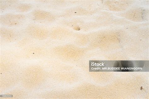 여름 태양의 모래 질감의 풀 프레임 샷은 배경으로 배경 화면 및 배경 개념 0명에 대한 스톡 사진 및 기타 이미지 0명