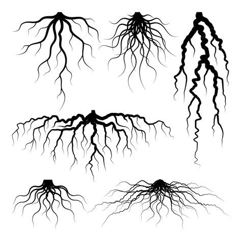 Premium Vector Various Realistic Tree Or Shrub Roots Parts Of Plant Root System With Tree