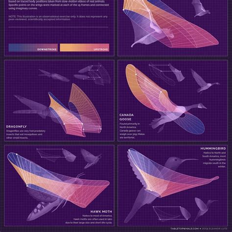 Riikka Sihvonen Network Architect And Cisco Designated Vip Challenges You To The Binary Game