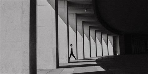 Testing Animals For An Understanding Of Recursion Ranimalintelligence