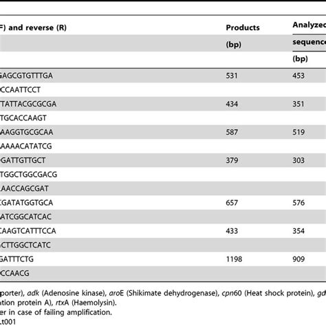 Minimum Spanning Tree Analysis Using Bionumerics Version 66 Of The
