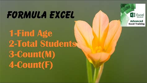 Part 13 Formula Excel Countif Youtube