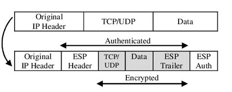 Ip Datagram Before And After Applying Esp In Transport Mode Our Model Download Scientific