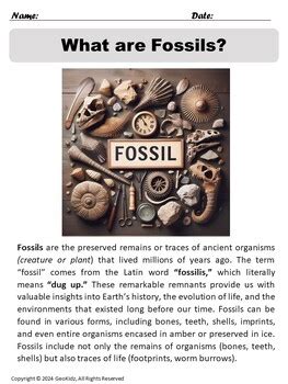Fossils Exploration Worksheet Unveiling Earths Time Capsules By GeoKidz