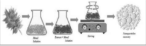 Biosynthesis Schematic Download Scientific Diagram