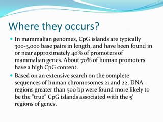 Introduction To Cpg Island Power Point Presentation Pptx