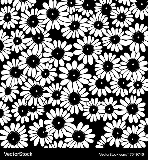 Daisy Black And White Background