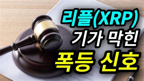 리플xrp 확실한 폭등 신호 가지고 왔습니다 Youtube