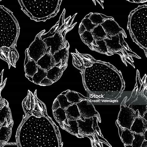 드래곤 과일 손으로 그린 스케치 패키지 디자인 매끄러운 패턴 벡터 그림입니다 디자인 직물 브로셔 일러스트 빈티지 복고풍 디자인 피타야 패턴 포장 설계에 사용할 수 있습니다