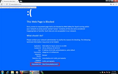 Verify Filtering Web Safety
