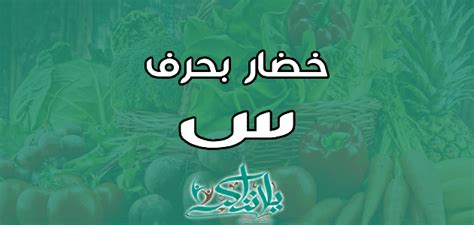 اسم خضار بحرف السين س يلا نذاكر
