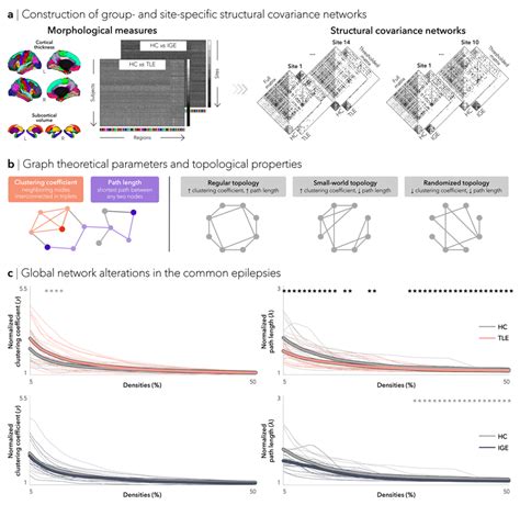 Structural Covariance Networks In The Common Epilepsies A Schematic Download Scientific