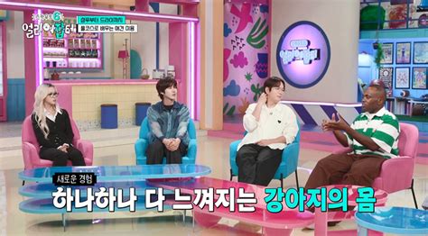 강아지 트라우마 극복한 조나단 유머움짤이슈 에펨코리아