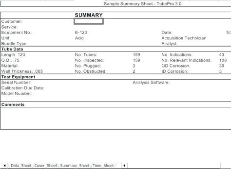 Bug Summary Report Template