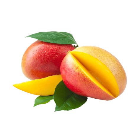 Mango Tree Tommy Atkins Cultivar