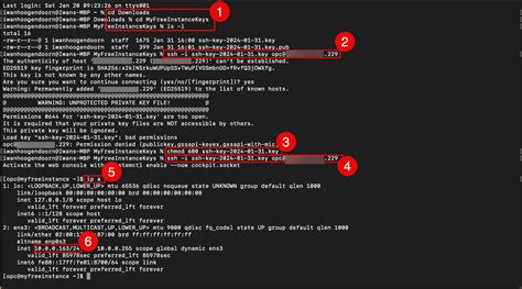使用 Oracle Cloud Infrastructure 存取及管理 Linux Compute 執行處理