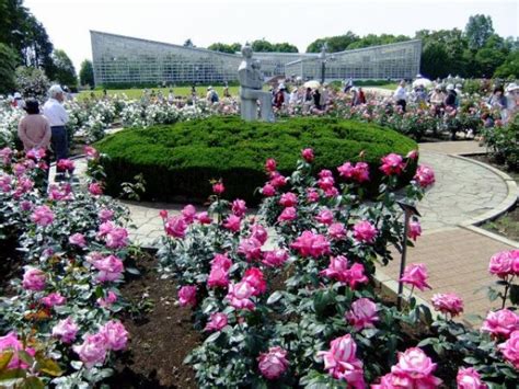 神代植物公園の地図アクセス･クチコミ観光ガイド｜旅の思い出