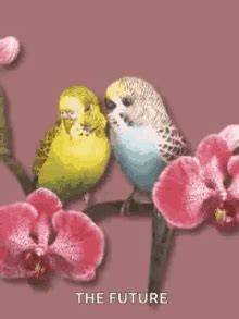 Birds Chirping S Tenor