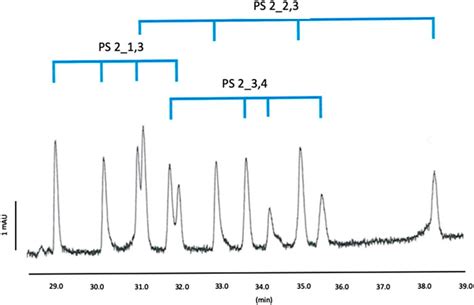 Frontiers Separation Of Isobaric Phosphorothioate Oligonucleotides In Capillary