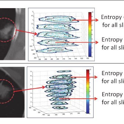 Entropy Ratio Was Developed To Quantify Intensity Variations Across The Download Scientific