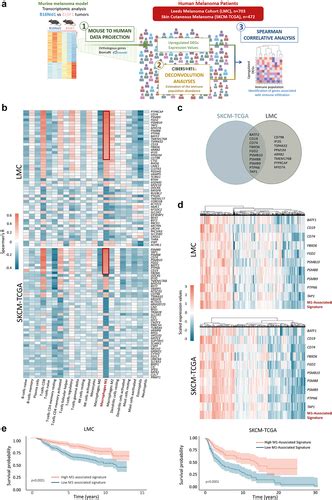 Full Article Loss Of The Extracellular Protease Adamts1 Reveals An Antitumorigenic Program