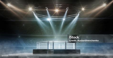 Mma 케이지 나이트 파이팅 챔피언십 밤 싸움 스포트라이트로 경기장의 전망 전체 트리뷴 3d 렌더링 혼합 무술에 대한 스톡 사진 및 기타 이미지 Istock