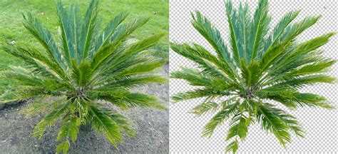 Complex Clipping Path By Souravjns1 On Deviantart