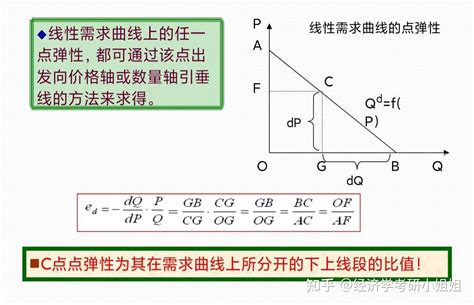 微观经济学 弹性 知乎