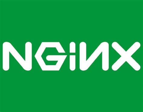 Nginx Logo LogoDix