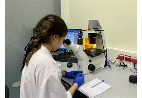 Общая информация