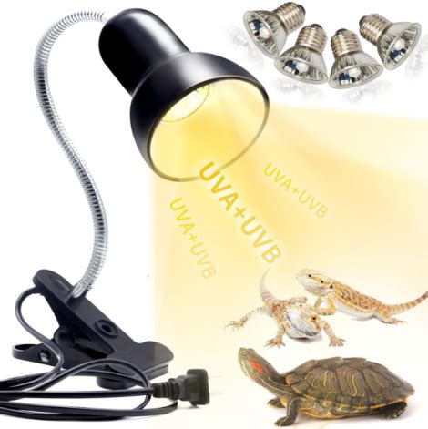 You Need To Know About UVB Lights For Turtles TurtleHolic