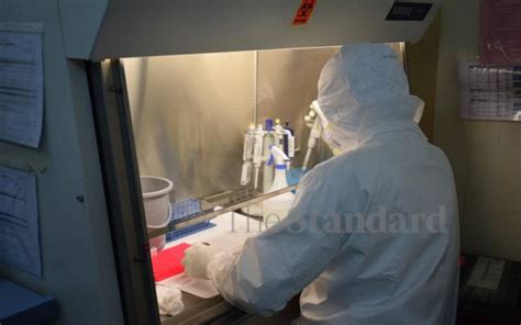 Kemri Seeks Who Approval Of New Malaria Testing Kit The Standard Health