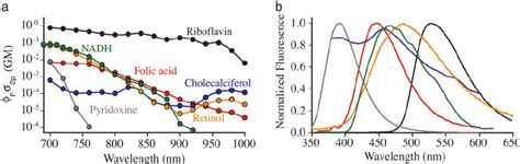 Two Photon Action Cross Sections And Emission Spectra From A Basis Set Download Scientific