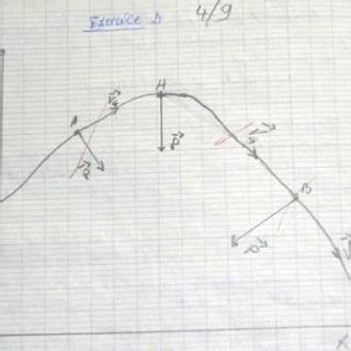 Representation Of Weight Vector And Velocity Figure Gives Babe Download Scientific