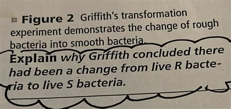 Solved Figure 2 Griffiths Transformation Experiment Demonstrates The