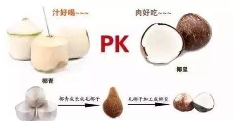 椰皇椰青椰子究竟有什么不同一张图教你分清楚