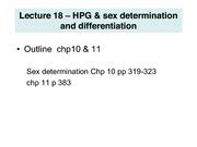 Lec HPG SexD With Notes Lecture HPG Sex Determination And Differentiation