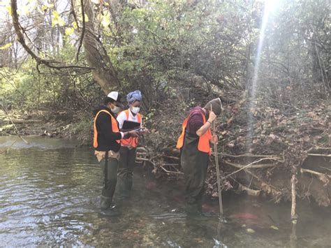 Bestdecompphoto Aquatic Entomology