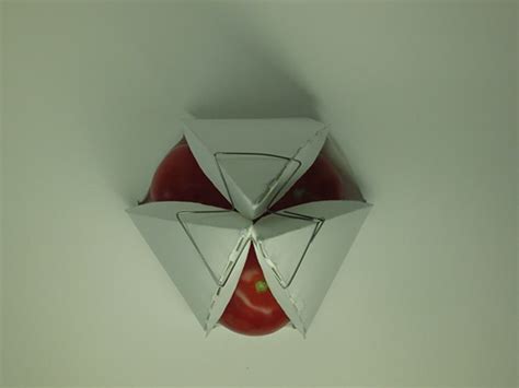 Container Space For A Tomato On Behance