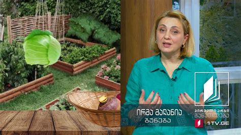 ბუნება I Ii კლასი ხილი ბოსტნეული და მარცვლეული ტელესკოლა Youtube